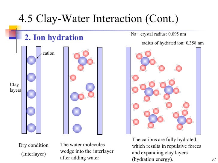 Clay Minerals And Soil Structure