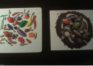 Clay prototypes | PDF