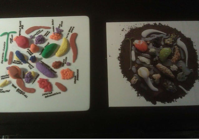 Clay prototypes | PDF