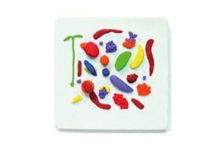 Clay prototypes | PDF