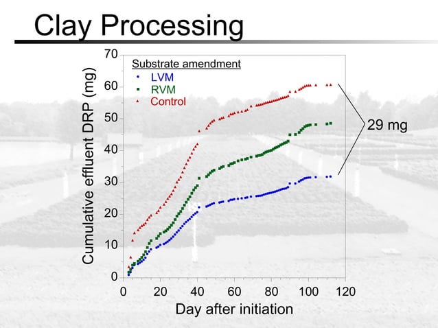 Clay amended soilless substrate: Increasing water and nutrient efficiency in containerized crop ...