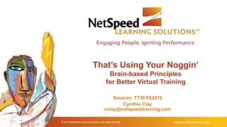 That's Using Your Noggin: Brain-based Principles for Better Virtual ...