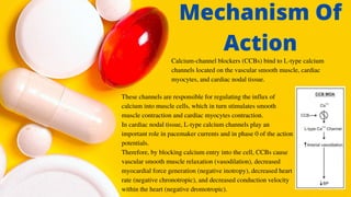 Calcium Channel Blockers | PPTX