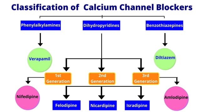 Calcium Channel Blockers | PPTX
