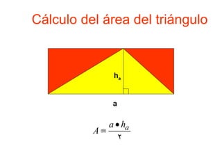 Cálculo del área del triángulo | PPT