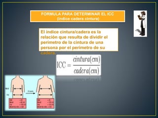 Cálculo en la medicina. | PPTX