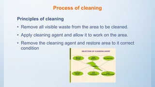 Clean and maintain kitchen equipment and utensils | PPTX