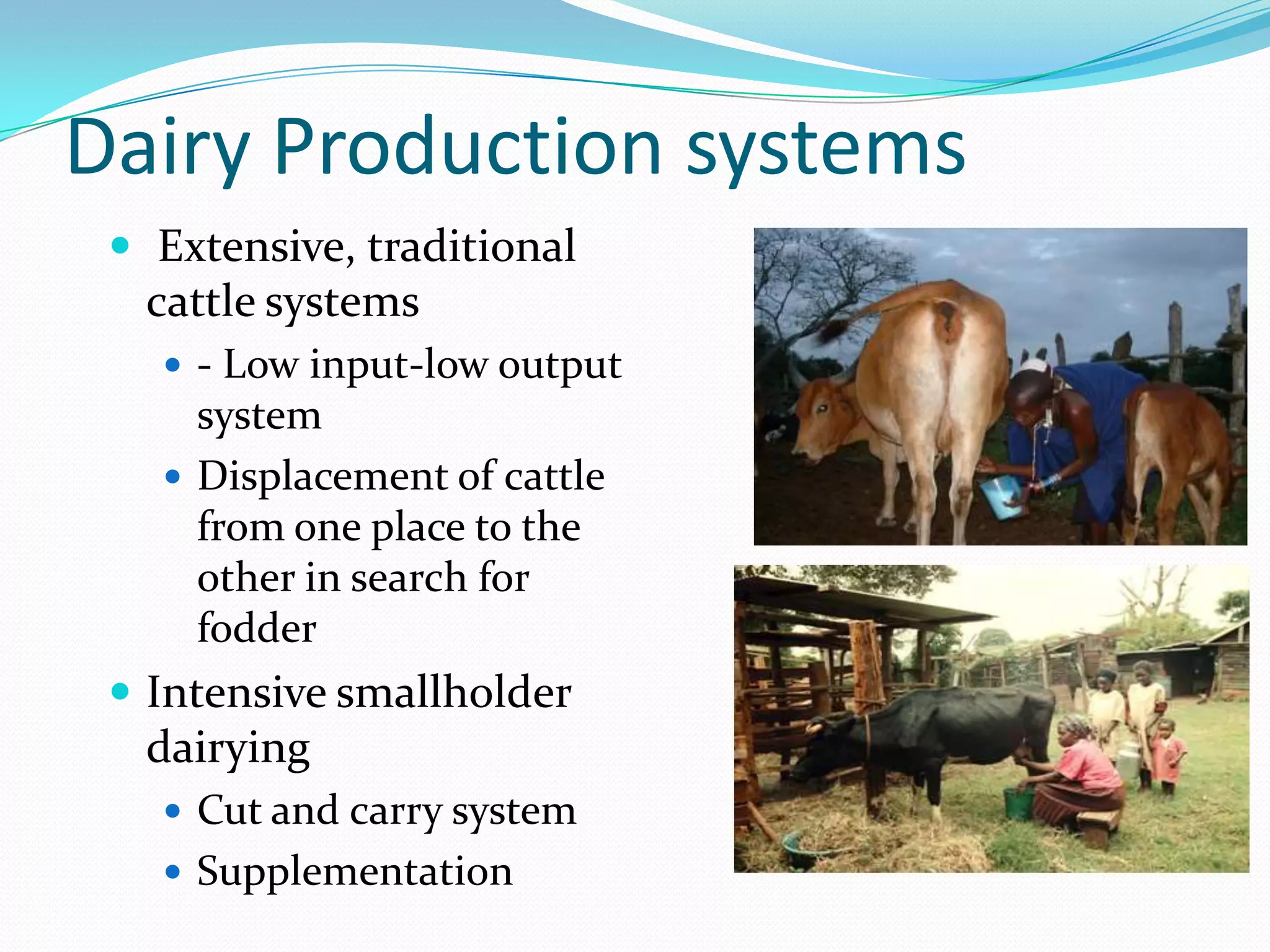 Dairy production and related environmental issues in Tanzania | PPTX