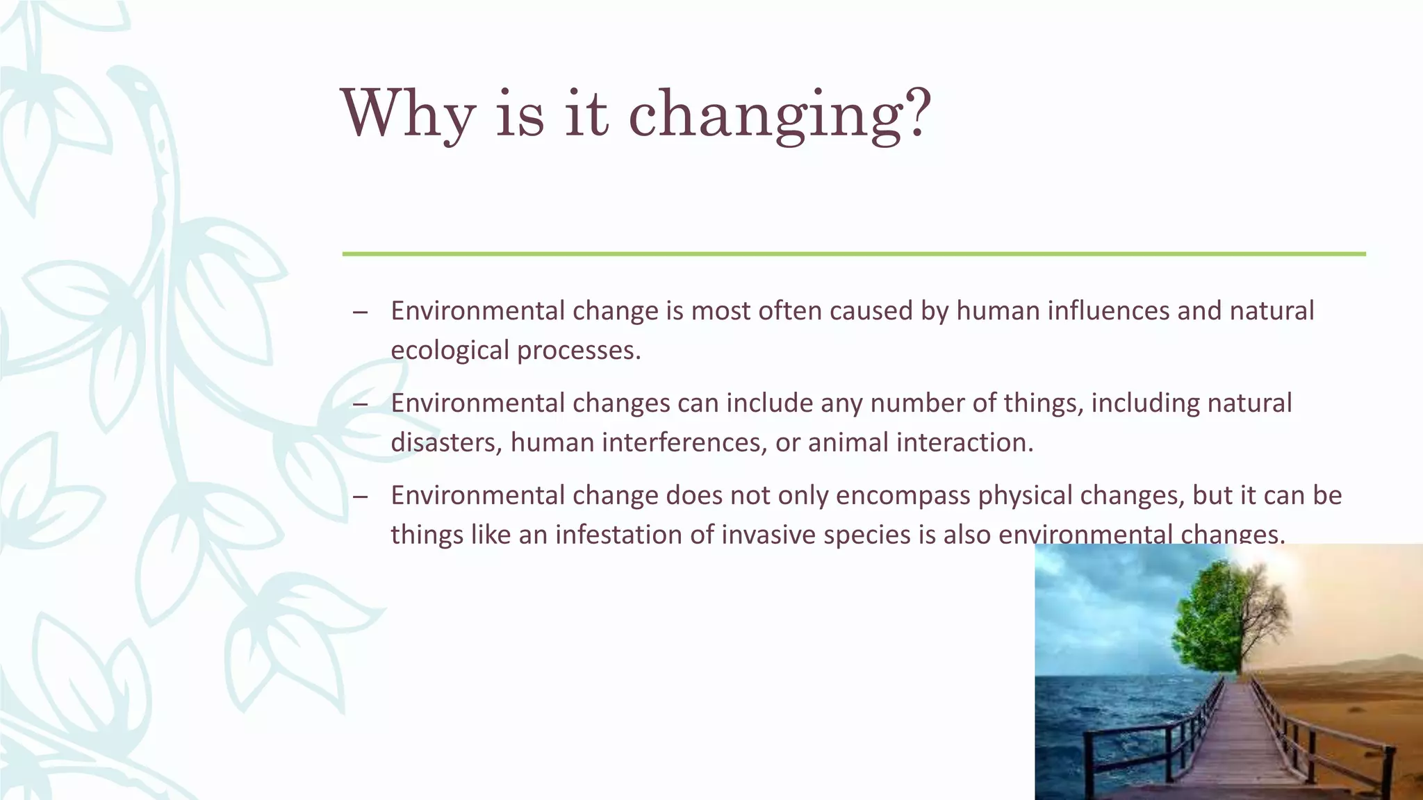 Clean Environment presentation | PPTX