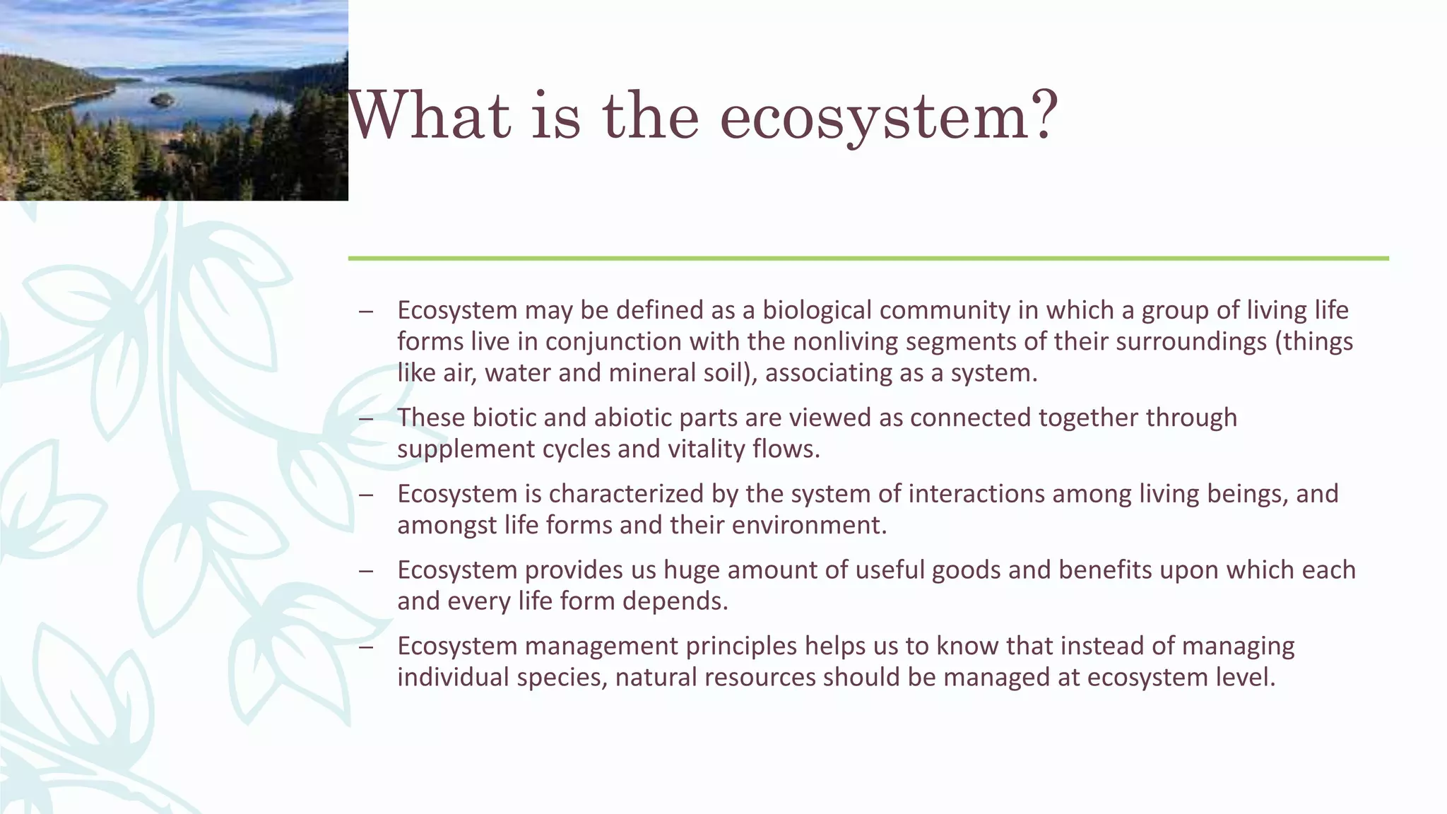 Clean Environment presentation | PPTX