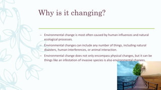 Clean Environment presentation | PPTX