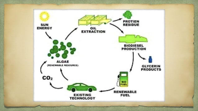 Clean fuel technology | PPTX | Chemistry | Science