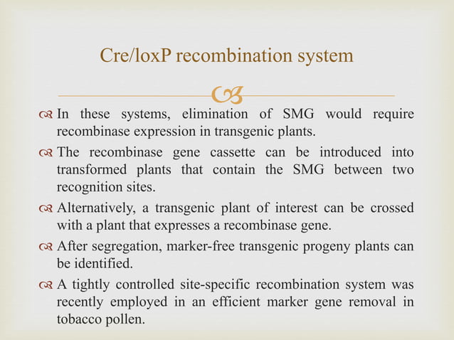 Clean gene technology | PPTX