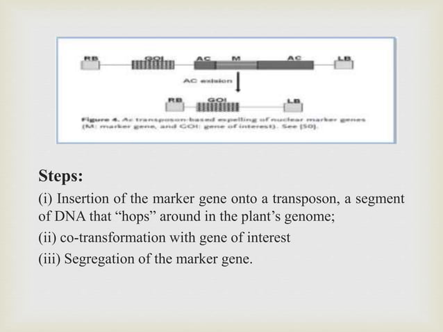 Clean gene technology | PPTX