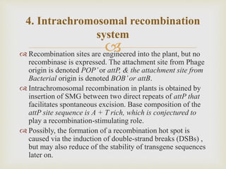 Clean gene technology | PPTX