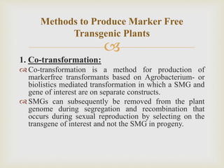 Clean gene technology | PPTX