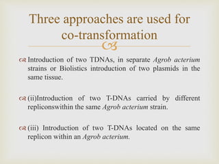 Clean gene technology | PPTX