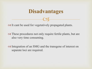 Clean gene technology | PPTX