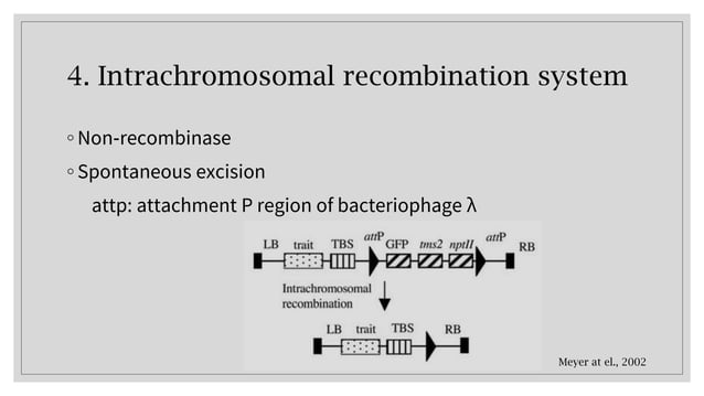 Clean Gene Technology (Marker Free Approach) | PDF | Biotech and ...