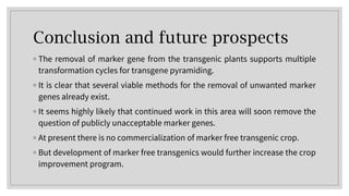 Clean Gene Technology (Marker Free Approach) | PDF