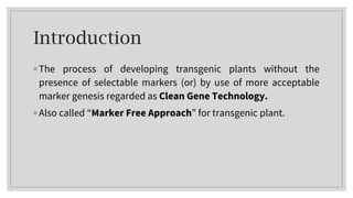Clean Gene Technology (Marker Free Approach) | PDF