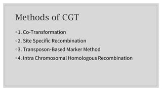 Clean Gene Technology (Marker Free Approach) | PDF