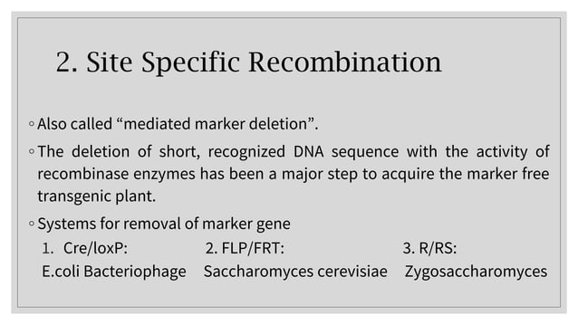 Clean Gene Technology (Marker Free Approach) | PDF | Biotech and ...