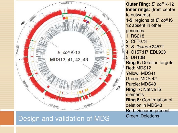 Clean genome ecoli