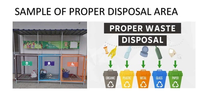 CLEAN GREEN PROJECT.pptx