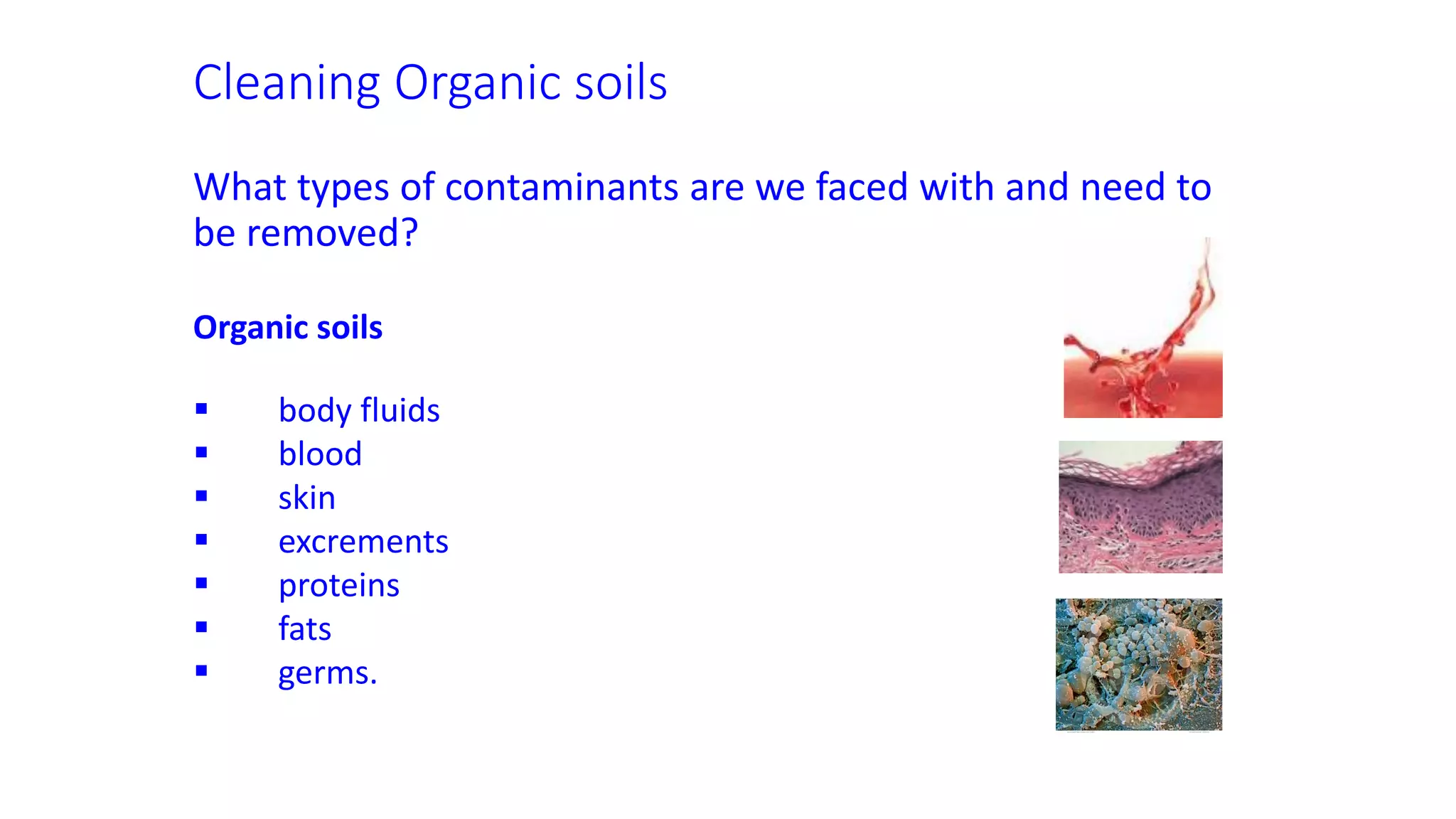 Cleaning and Decontamination | PDF