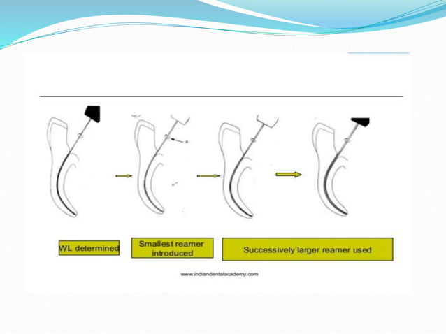 Cleaning and shaping | PPTX