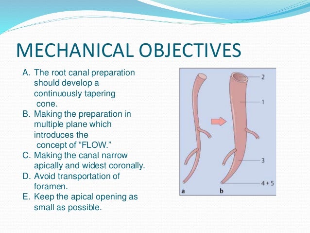 Cleaning and shaping