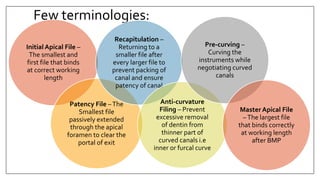 Techniques and Principles of Cleaning and Shaping | PPT