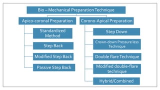 Techniques and Principles of Cleaning and Shaping | PPT