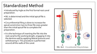 Techniques and Principles of Cleaning and Shaping | PPT