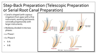 Techniques and Principles of Cleaning and Shaping | PPT