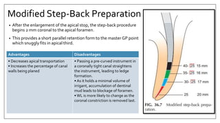 Techniques and Principles of Cleaning and Shaping | PPT