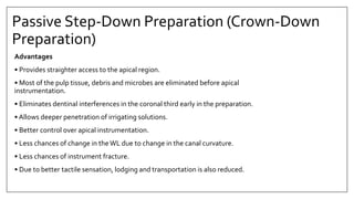 Techniques and Principles of Cleaning and Shaping | PPT