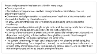 Techniques and Principles of Cleaning and Shaping | PPTX