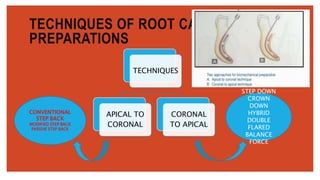 Cleaning and shaping of Root canal system | PPTX