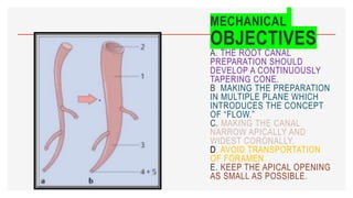 Cleaning and shaping of Root canal system | PPTX