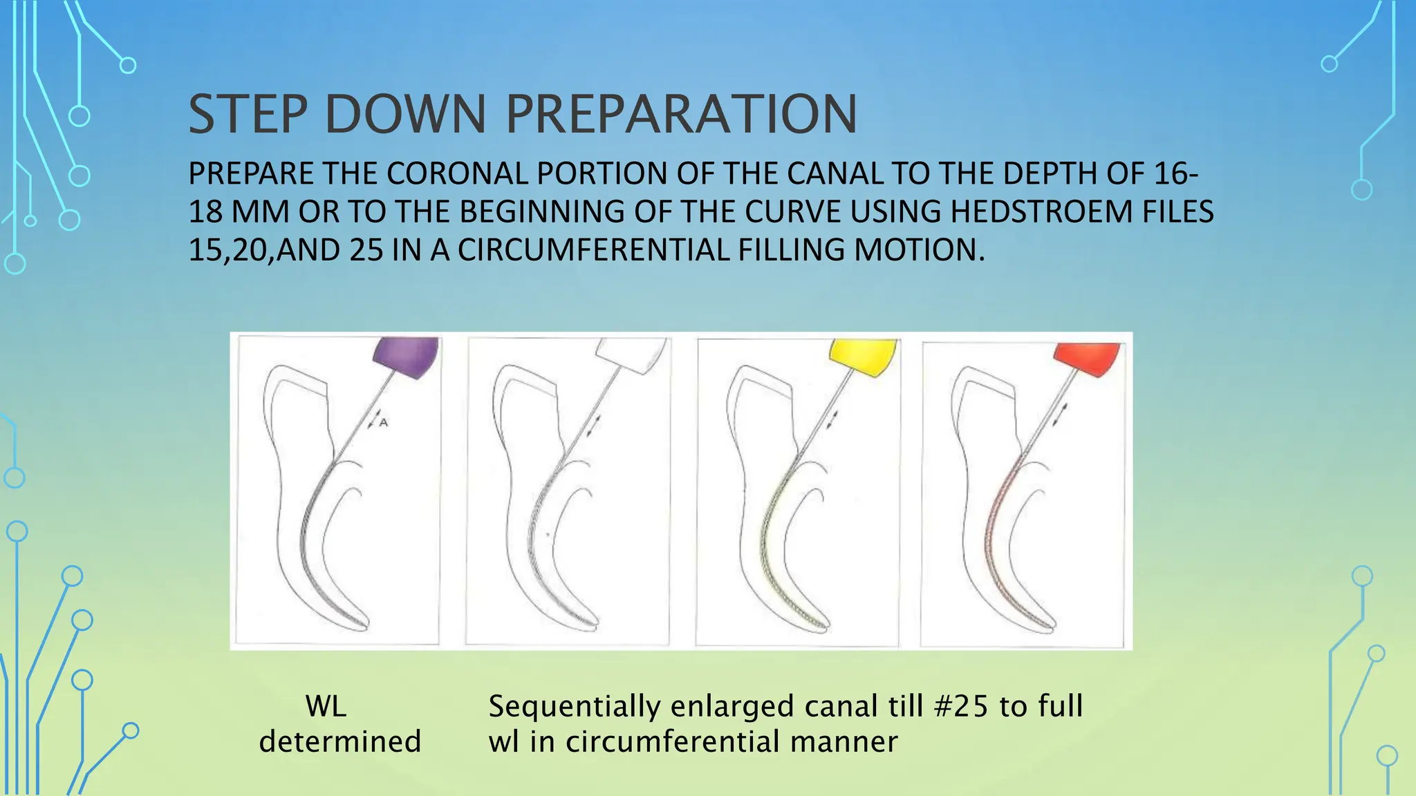 Cleaning and shaping of root canal systems | PPTX