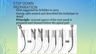 Cleaning and shaping of root canal systems | PPTX