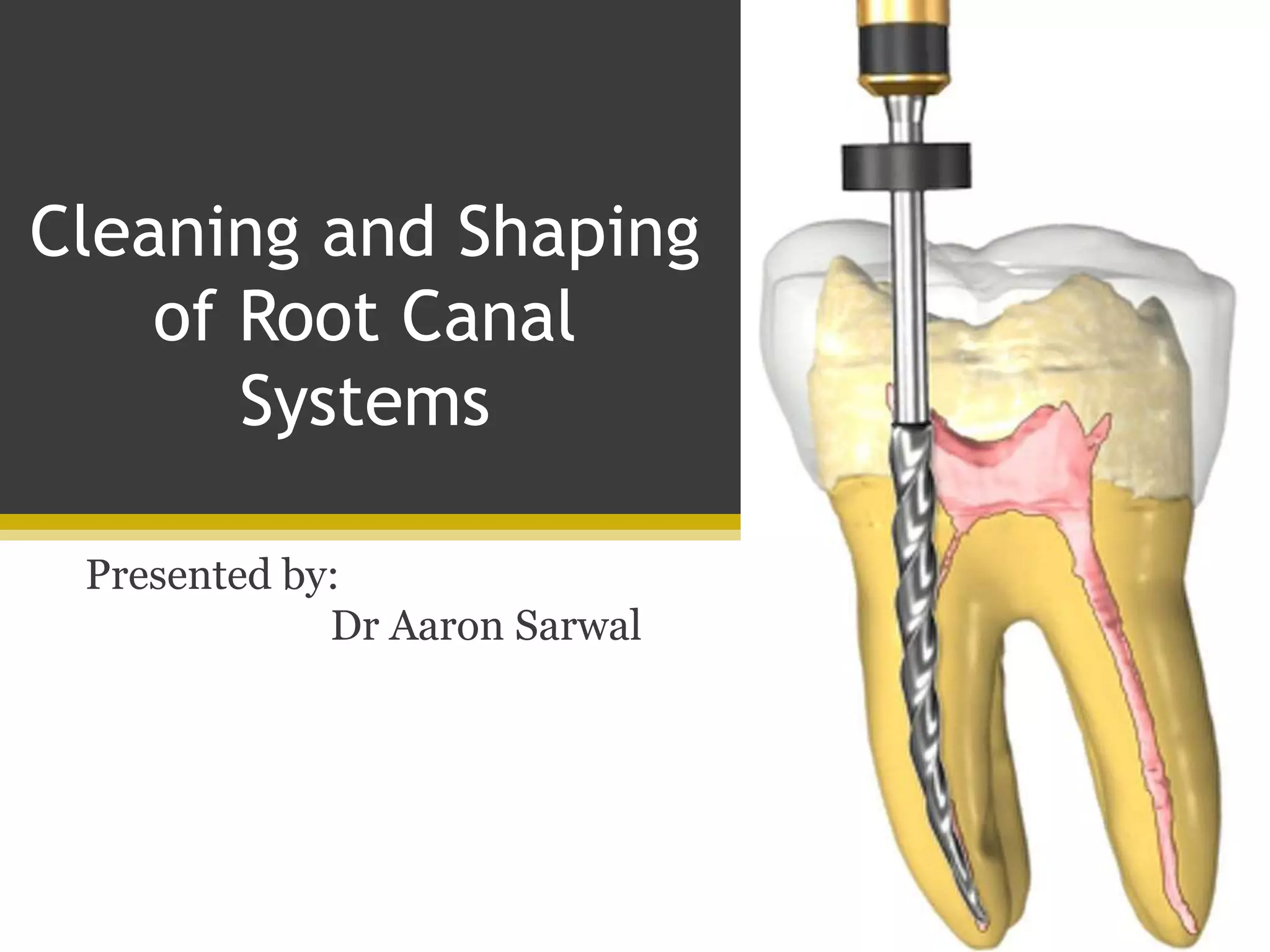 Cleaning and Shaping of Root Canal Systems | PPTX