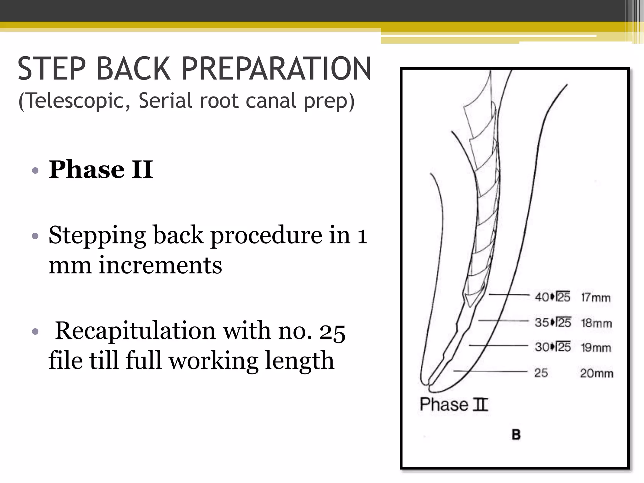 Cleaning and Shaping of Root Canal Systems | PPTX