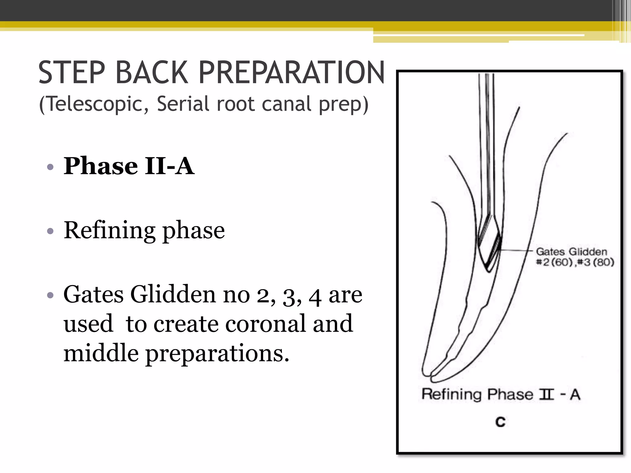 Cleaning and Shaping of Root Canal Systems | PPTX