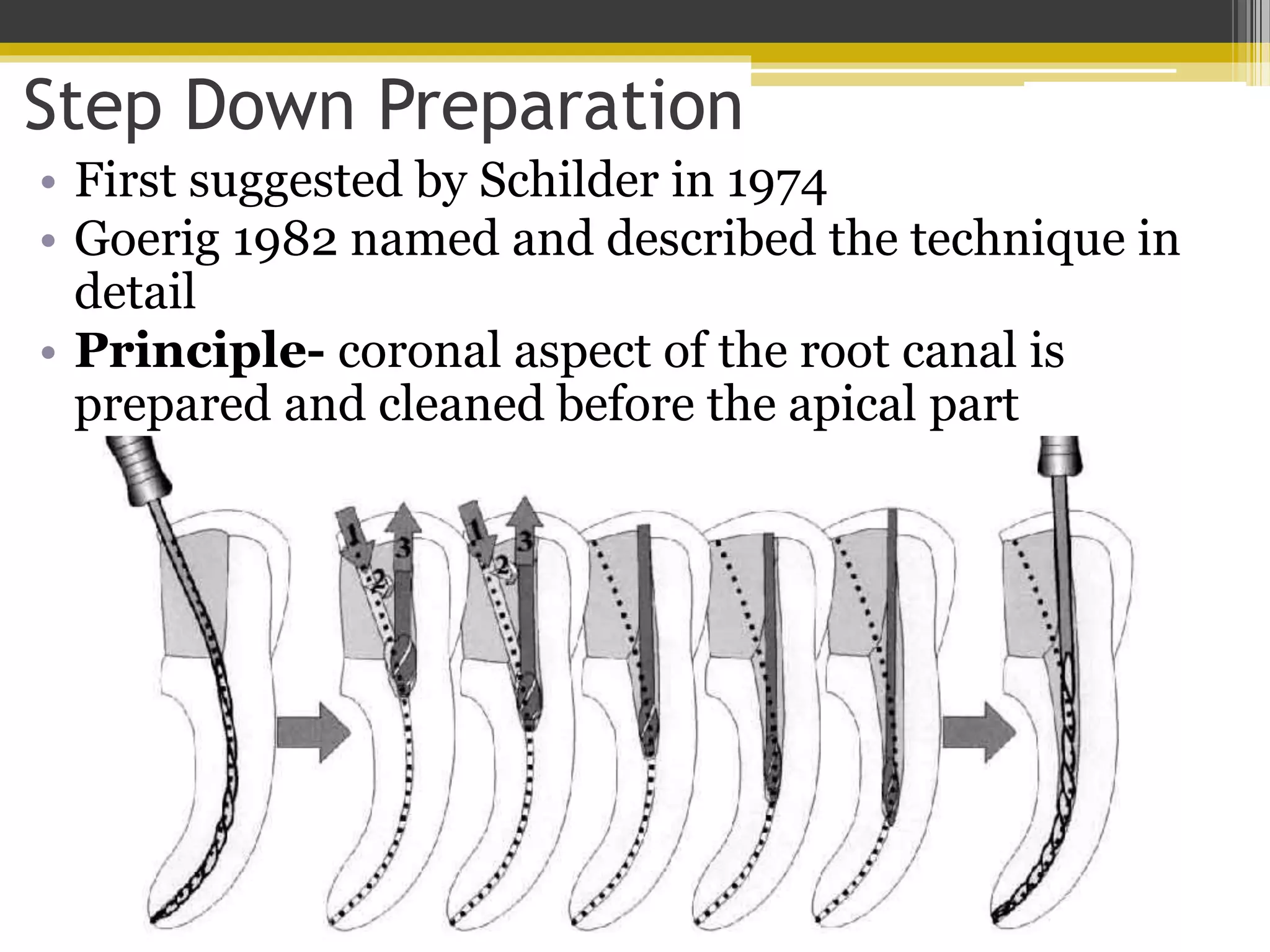Cleaning and Shaping of Root Canal Systems | PPTX
