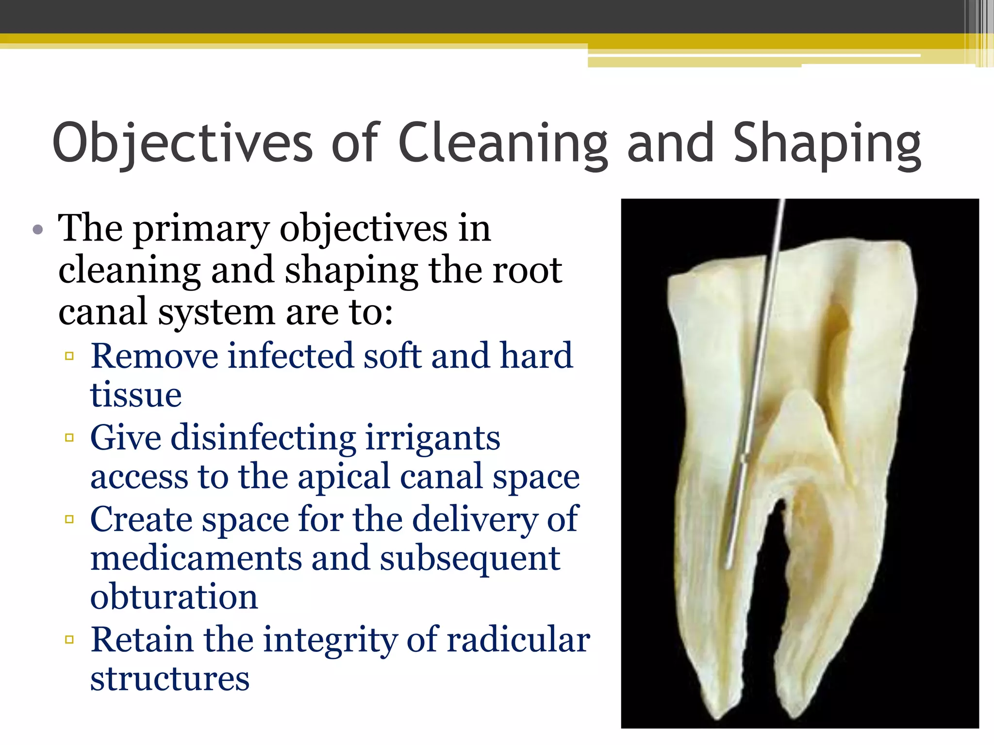 Cleaning and Shaping of Root Canal Systems | PPTX