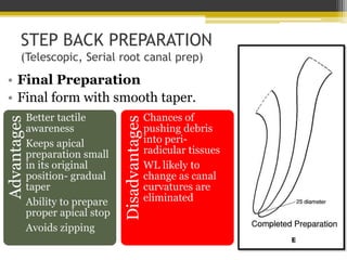 Cleaning and Shaping of Root Canal Systems | PPTX