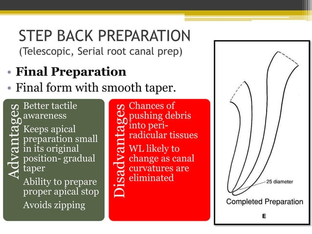 Cleaning and Shaping of Root Canal Systems | PPTX